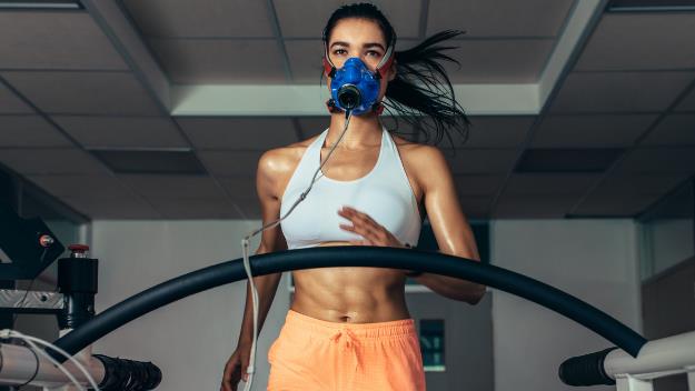 What is Exercise Science? - Stellar Lifestyle Collective